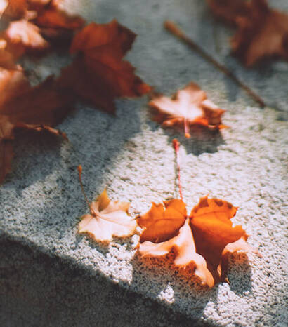 Golden Gate – Funeral & Cremation Services, LLC